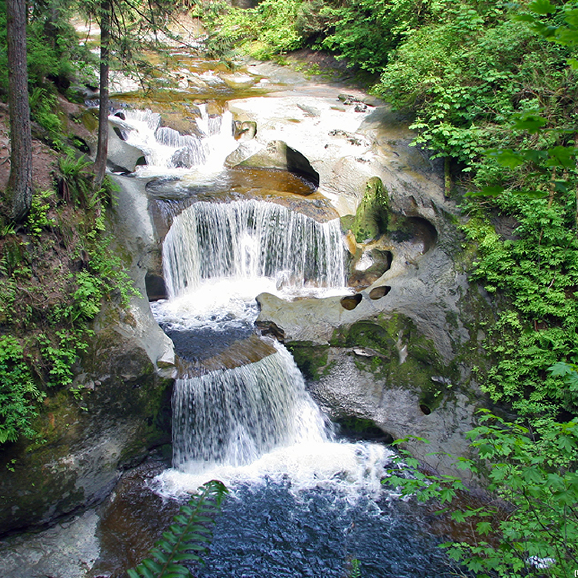 Regional Parks Service Review - Neilson Strategies